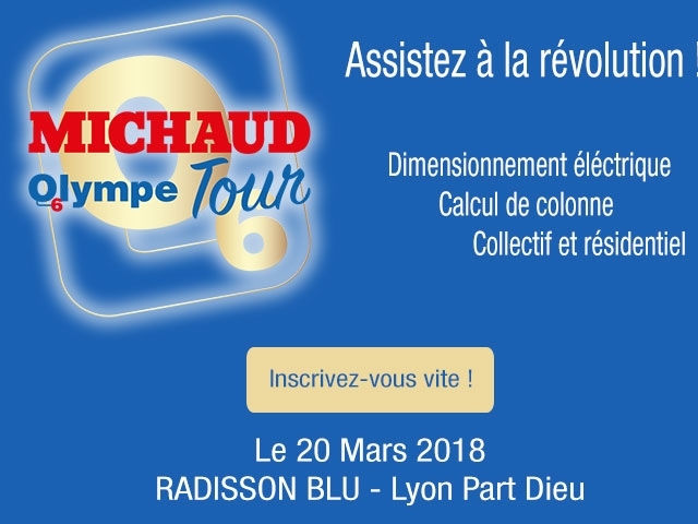 Michaud, Habitat et Réseau électrique